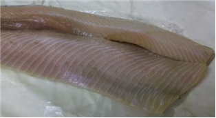 SHAD FILLET BONELESS